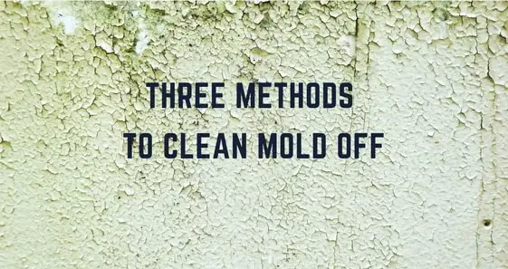 How to Remove Mold from Backpack Using 3 Simple and Safe Methods