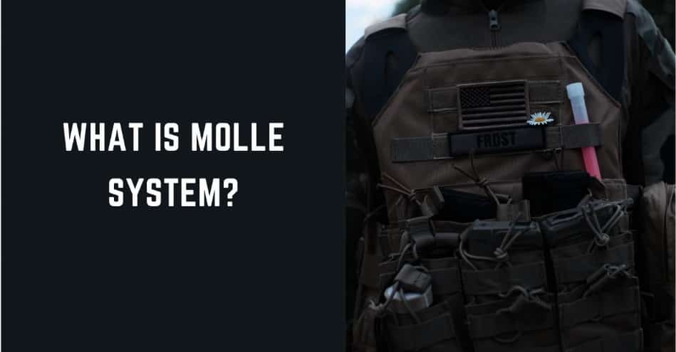 What is MOLLE: Everything You Need to Know About this Tactical Gear