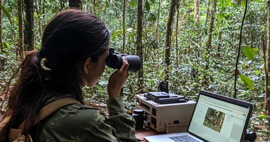 Ethical Wildlife Watching: Harnessing Technology for Conservation
